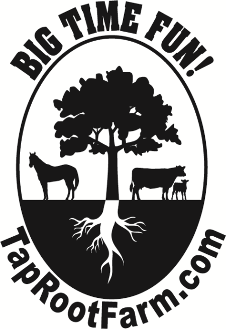 2026 Horse Camps - Tap Root Farm™ Equestrian Program